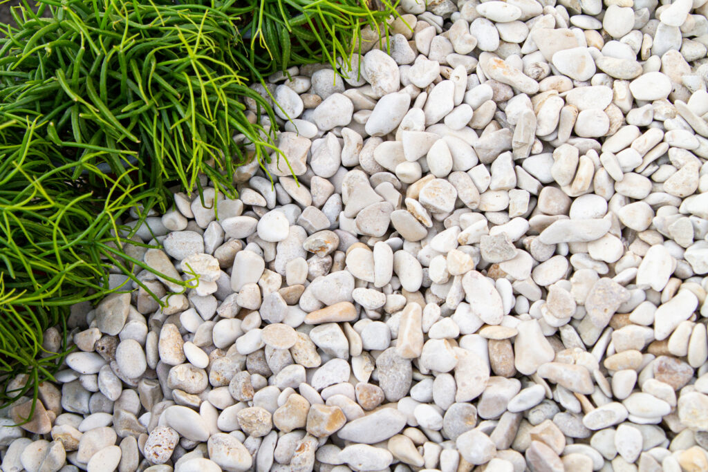 Castle Grind Mignonette - Eurocompost